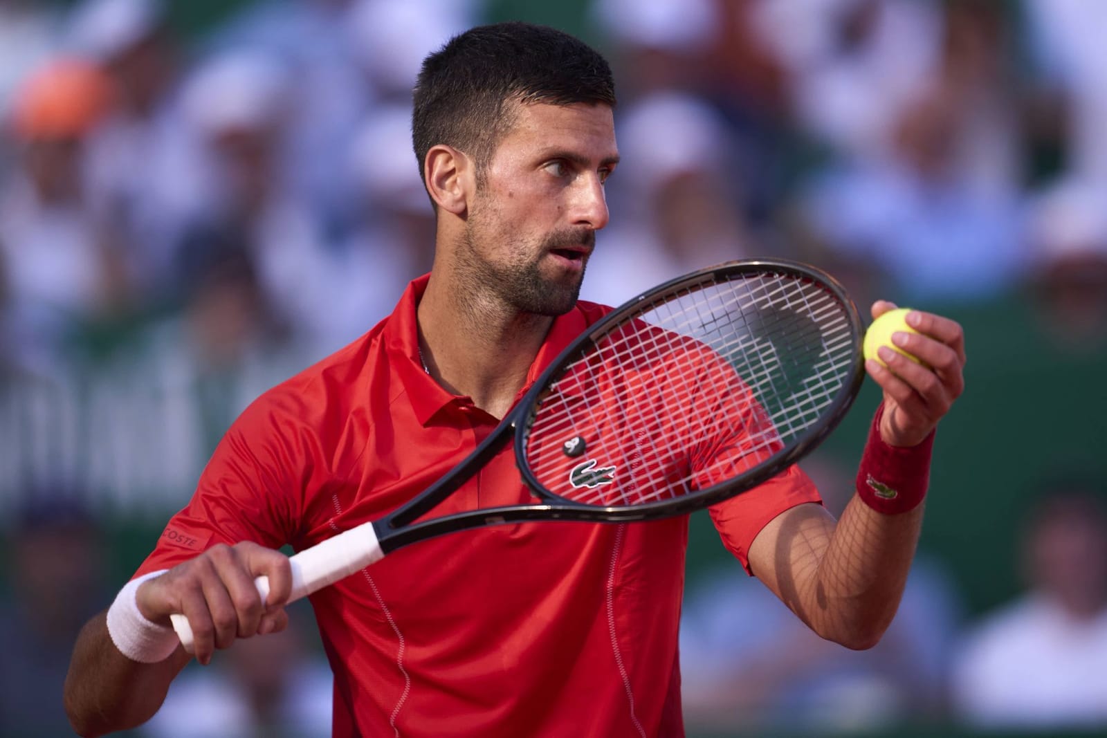 Andy Roddick defends Novak Djokovic with strong response to critics of ...