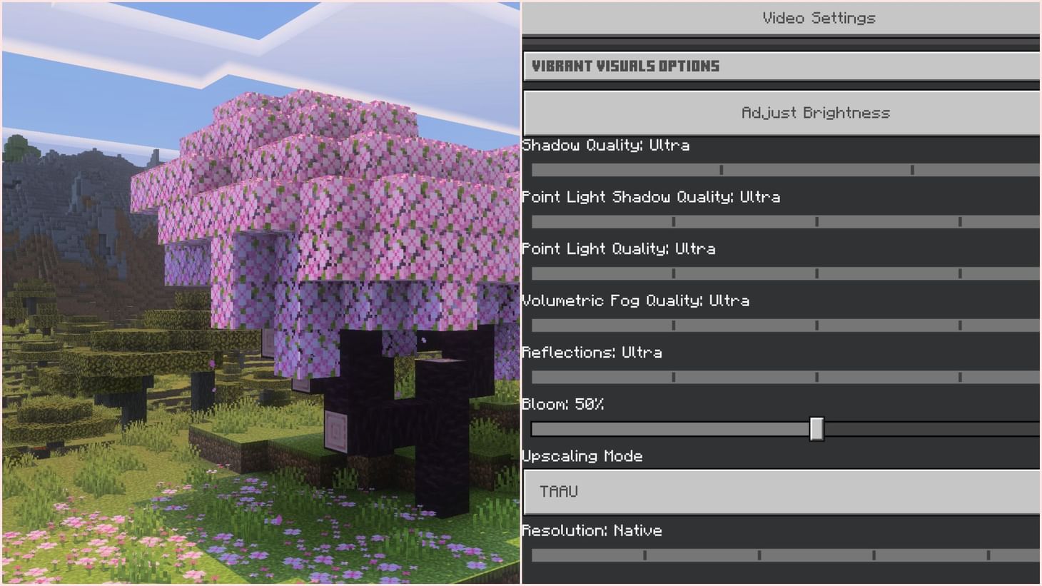 Best Minecraft Vibrant Visuals settings