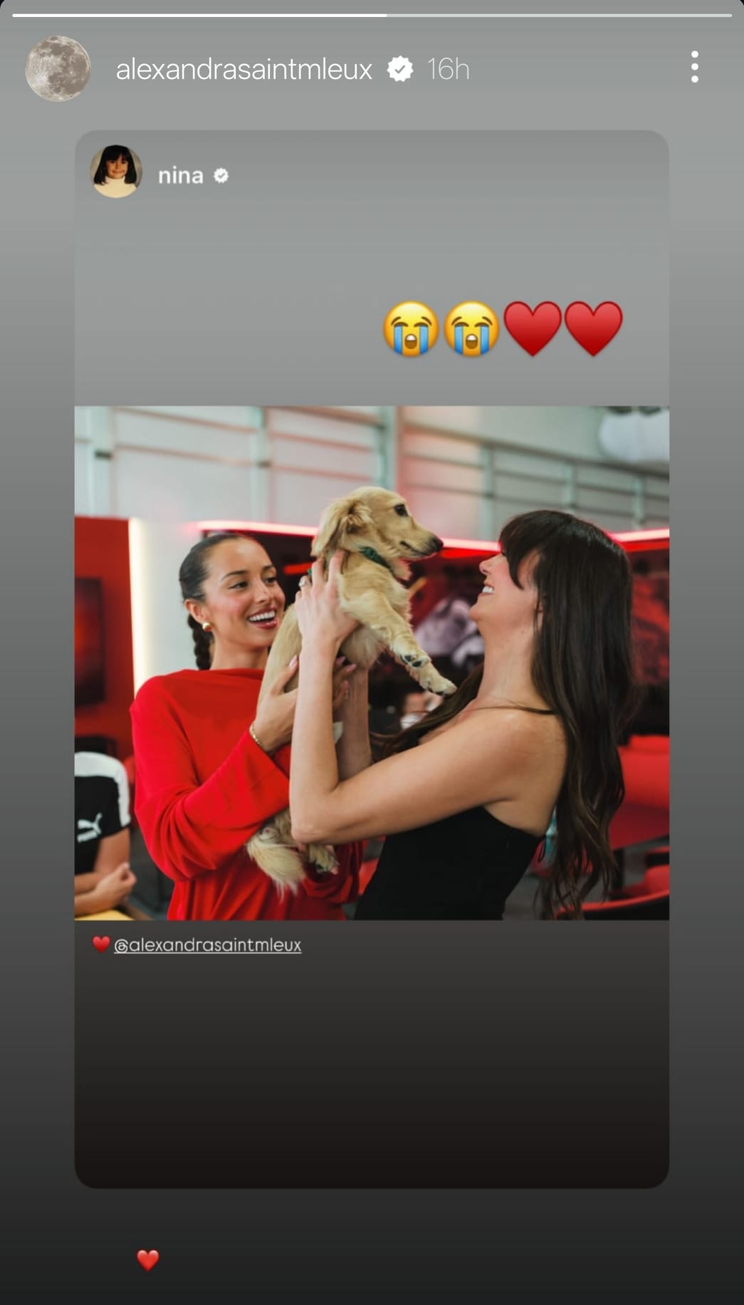 Charles Leclerc’s girlfriend and pet Leo meet Hollywood star Nina Dobrev