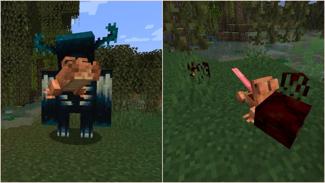 Minecraft Frog guide: Spawning, breeding, and behavior