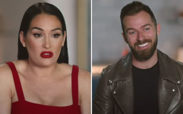 Eye-watering amount that Nikki Bella has to pay ex-partner Artem ...