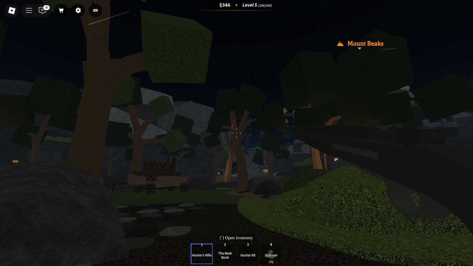 Roblox Beaks: A beginner's guide