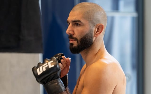 Where is Aiemann Zahabi from? Exploring the UFC star's ethnicity and origin