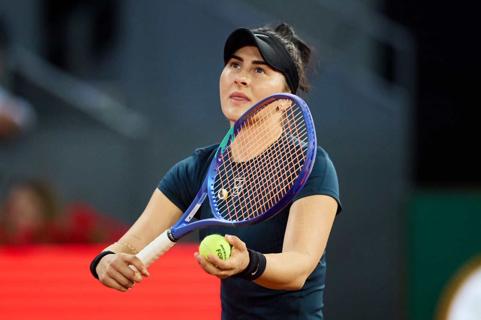 Bianca Andreescu makes her partner's dream come true on birthday week ...