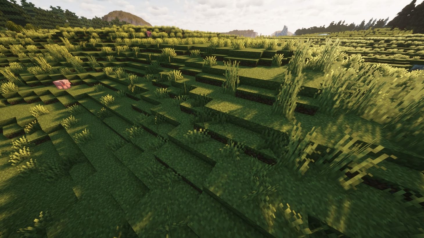 5 best visually appealing yet vanilla-friendly Minecraft mods