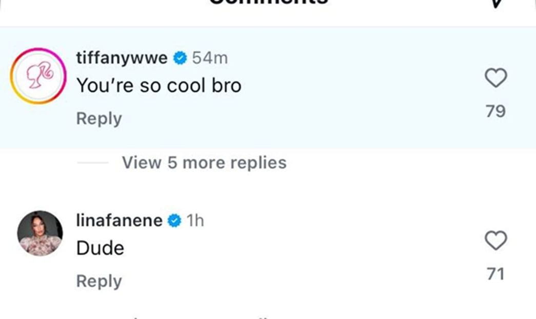 WWE: Steve Austin, Tiffany Stratton, Nia Jax, and several other WWE ...