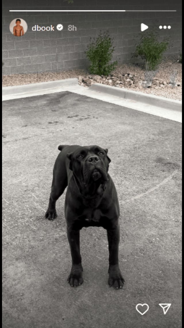Devin Booker reunites with his dog Haven after luxe French getaway
