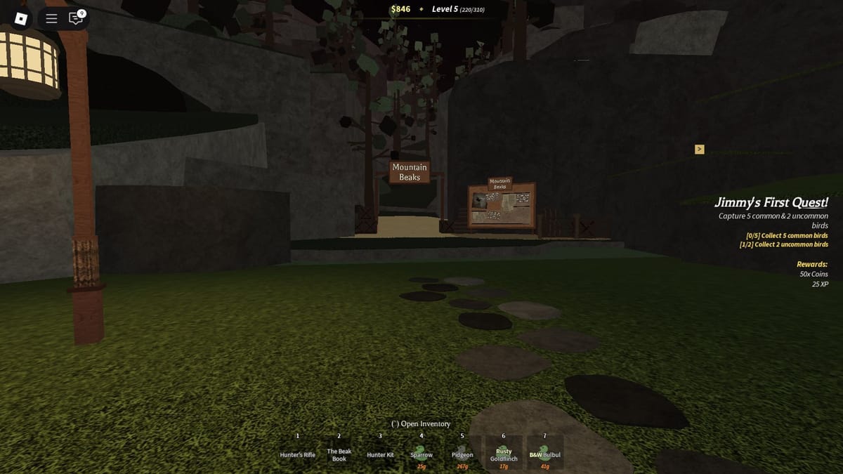 Beaks Wishing Well guide: Location and what it does