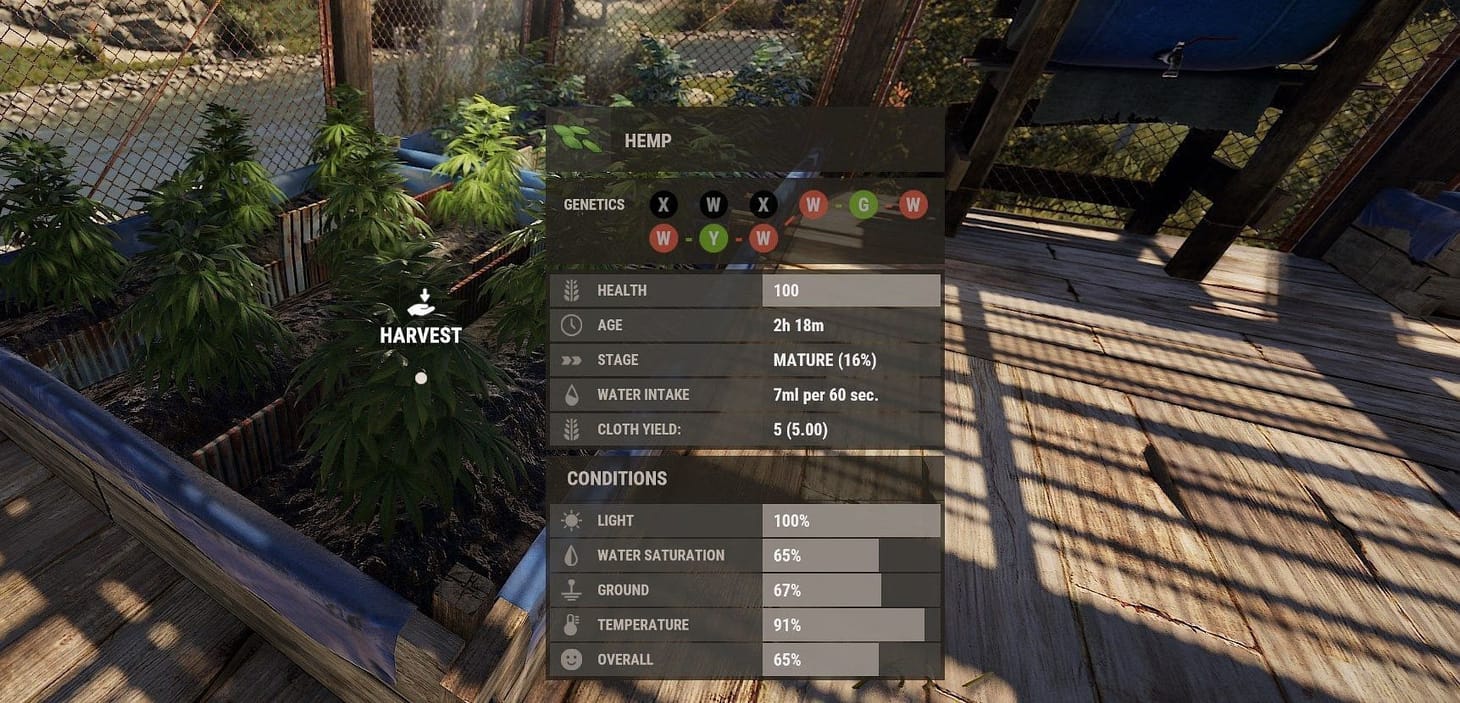 5 tips to survive in Rust jungle biome (2025)