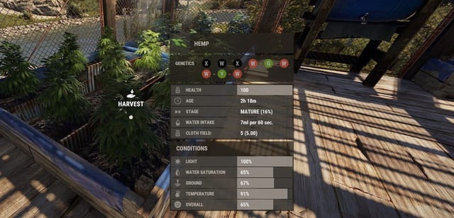 5 tips to survive in Rust jungle biome (2025)