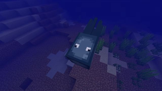 Minecraft squid guide: Spawning, behavior, and drops