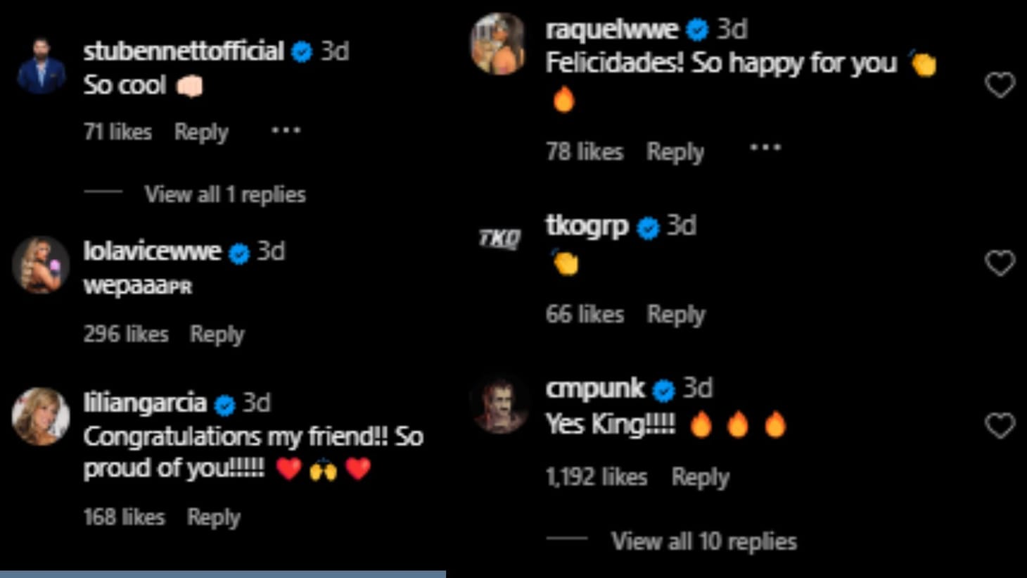 CM Punk, Wade Barrett, Raquel Rodriguez, and other WWE stars react ...