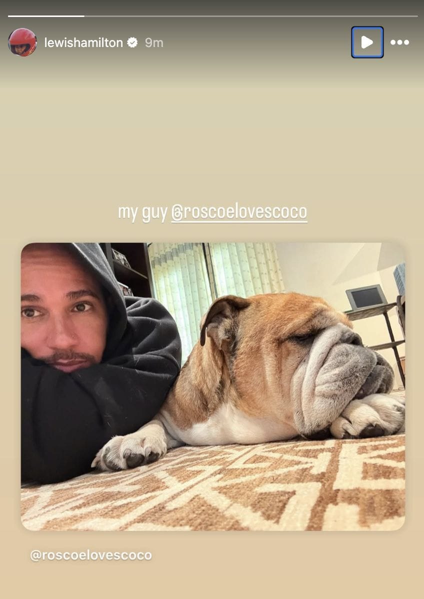 Lewis Hamilton shares adorable picture with his pet Roscoe