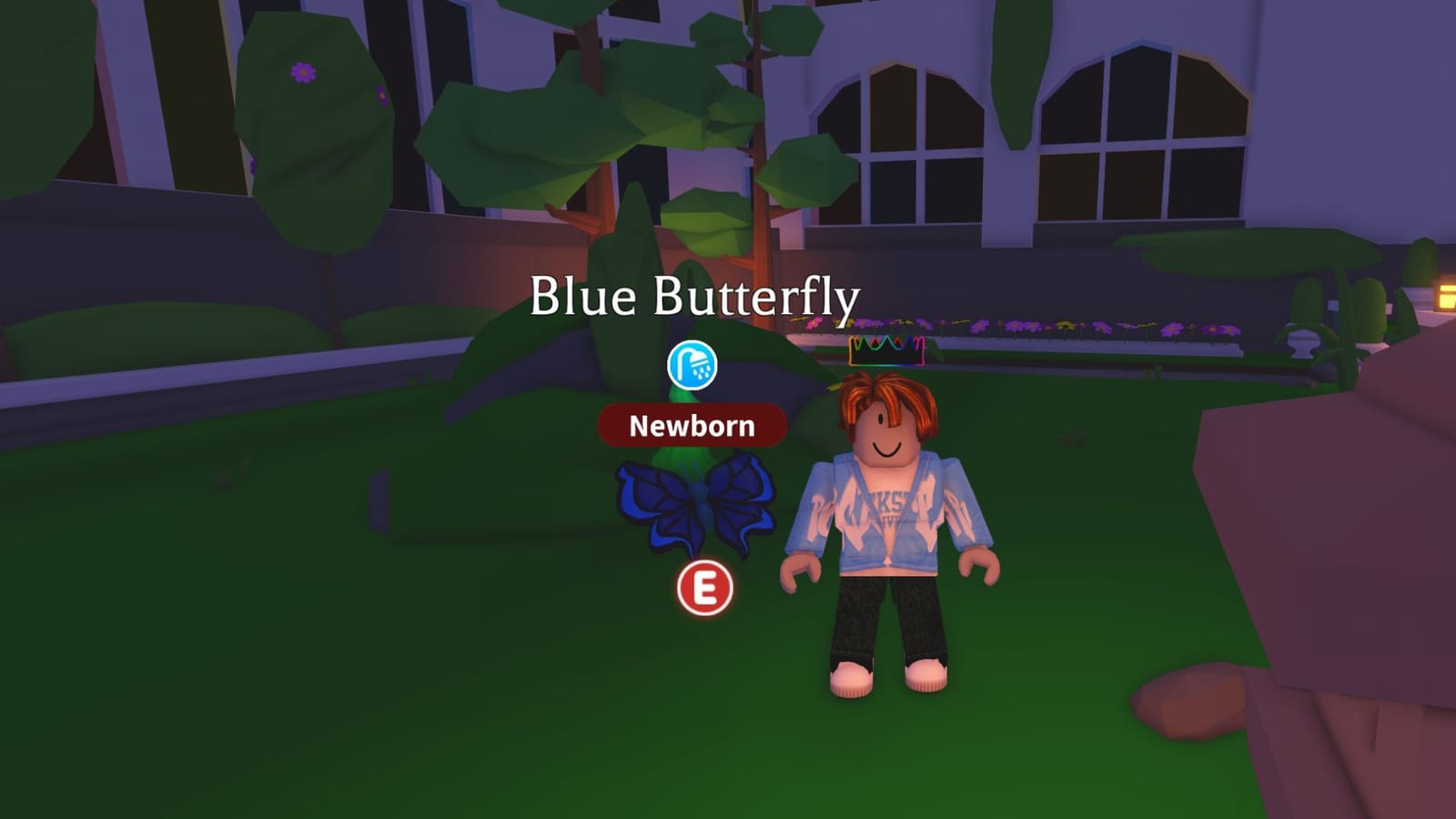 All new Butterflies in Adopt Me
