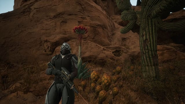 Dune Awakening: How to get Agave Seeds