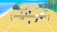 Volleyball Legends: A beginner's guide