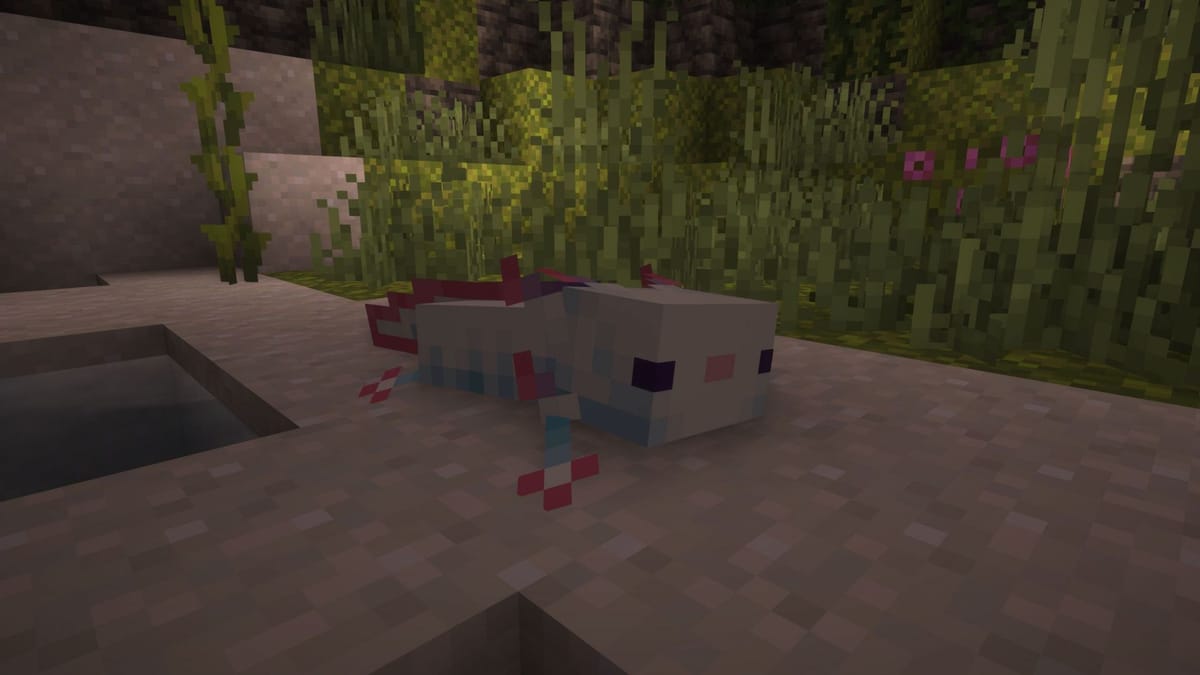 All varieties of axolotls in Minecraft