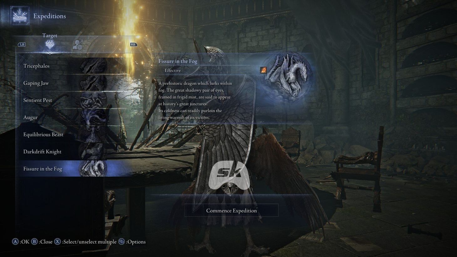 Multiplayer mode in Elden Ring Nightreign, explained