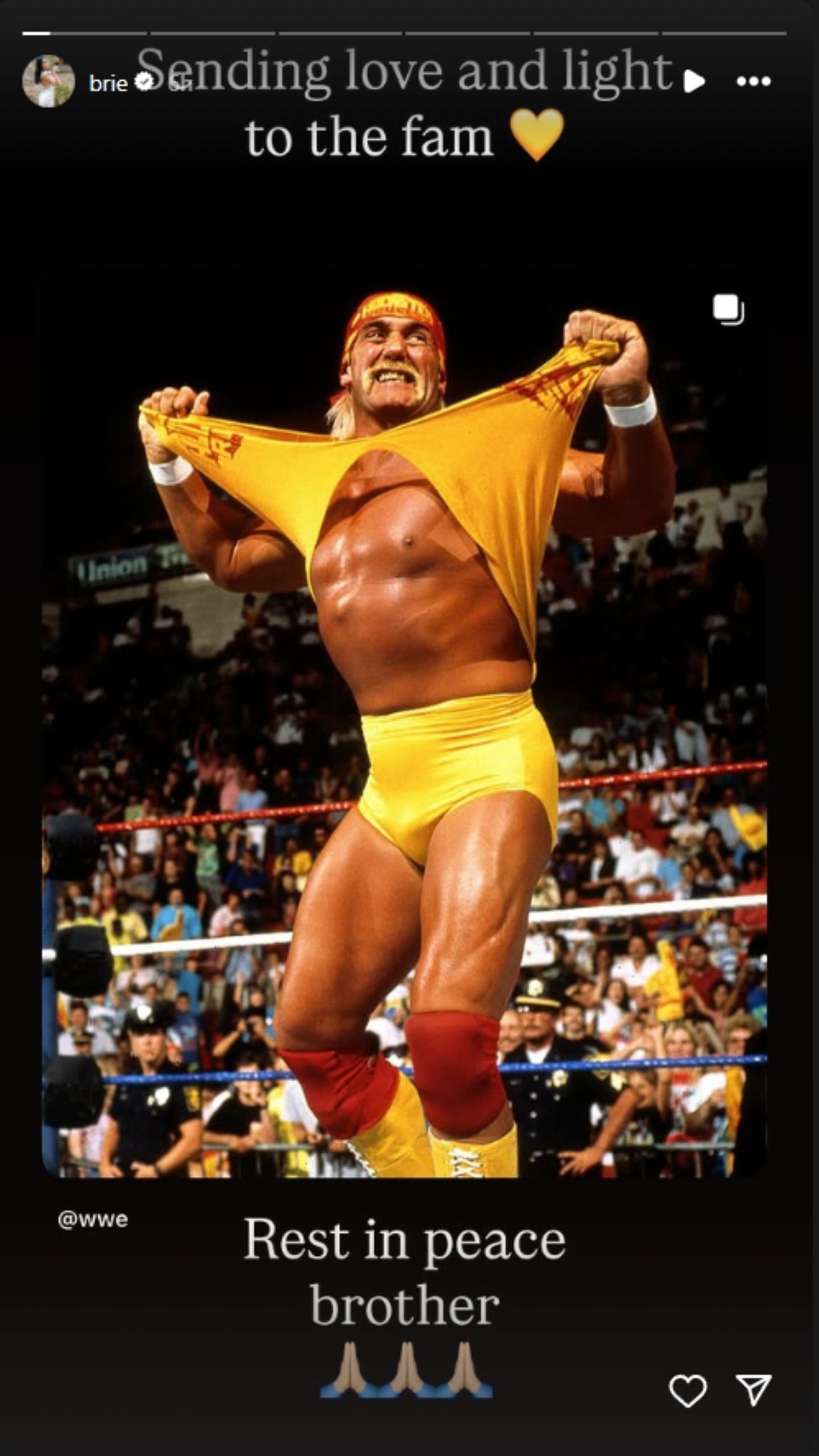 Brie Bella breaks silence after WWE Hall of Famer Hulk Hogan passes away