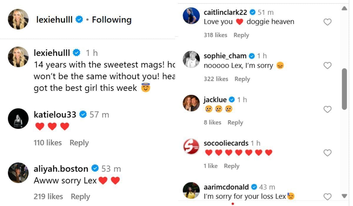 "Nooooo Lex, I’m sorry": Caitlin Clark, Sophie Cunningham and others ...