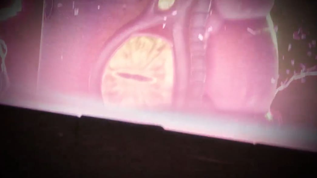 Fortnite Super Showdown live event: How to watch, timings, and more