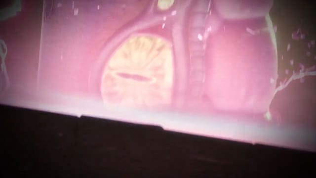 Fortnite Super Showdown live event: How to watch, timings, and more