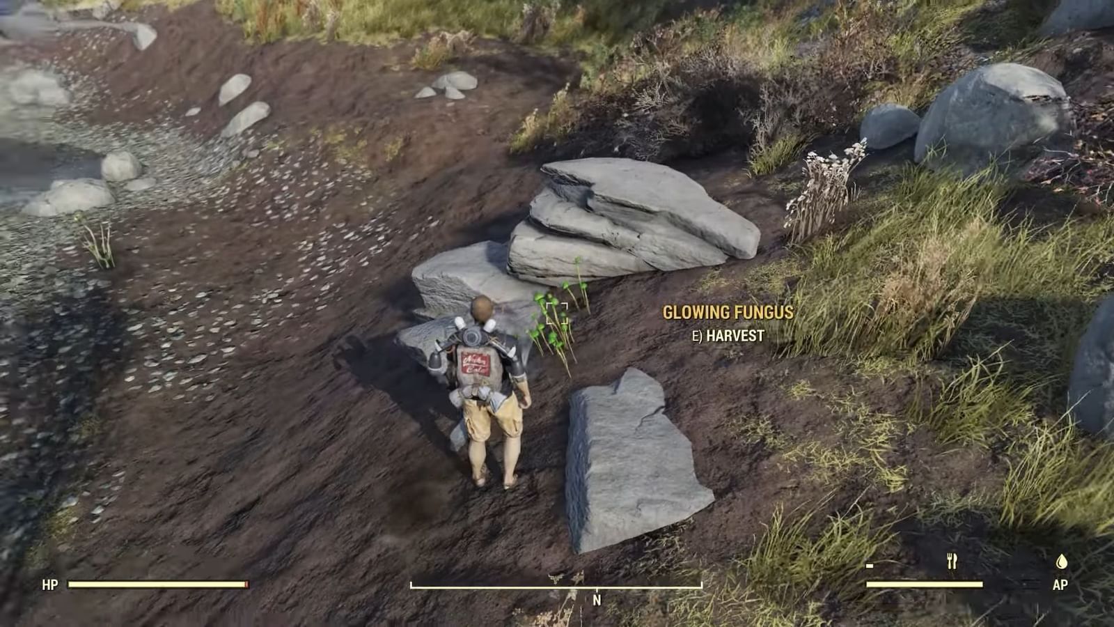 Fallout 76: Where to farm Glowing Fungus
