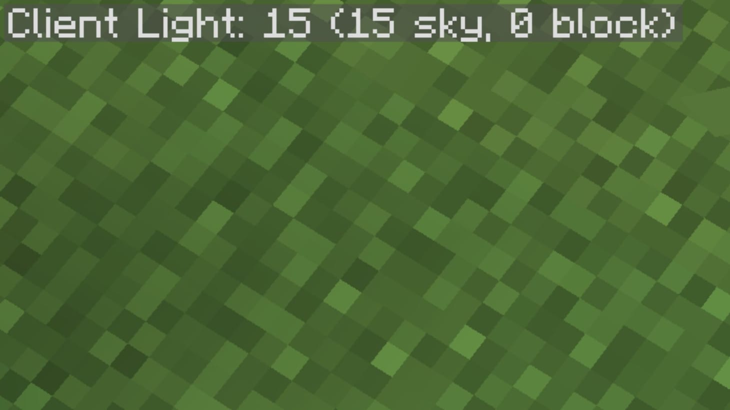 5 best Minecraft Java F3 debug screen information to display permanently