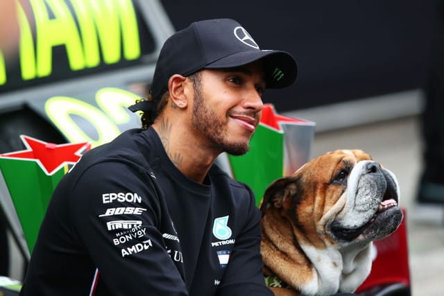 What happened to Lewis Hamilton’s other dog, Coco? All you need to know ...