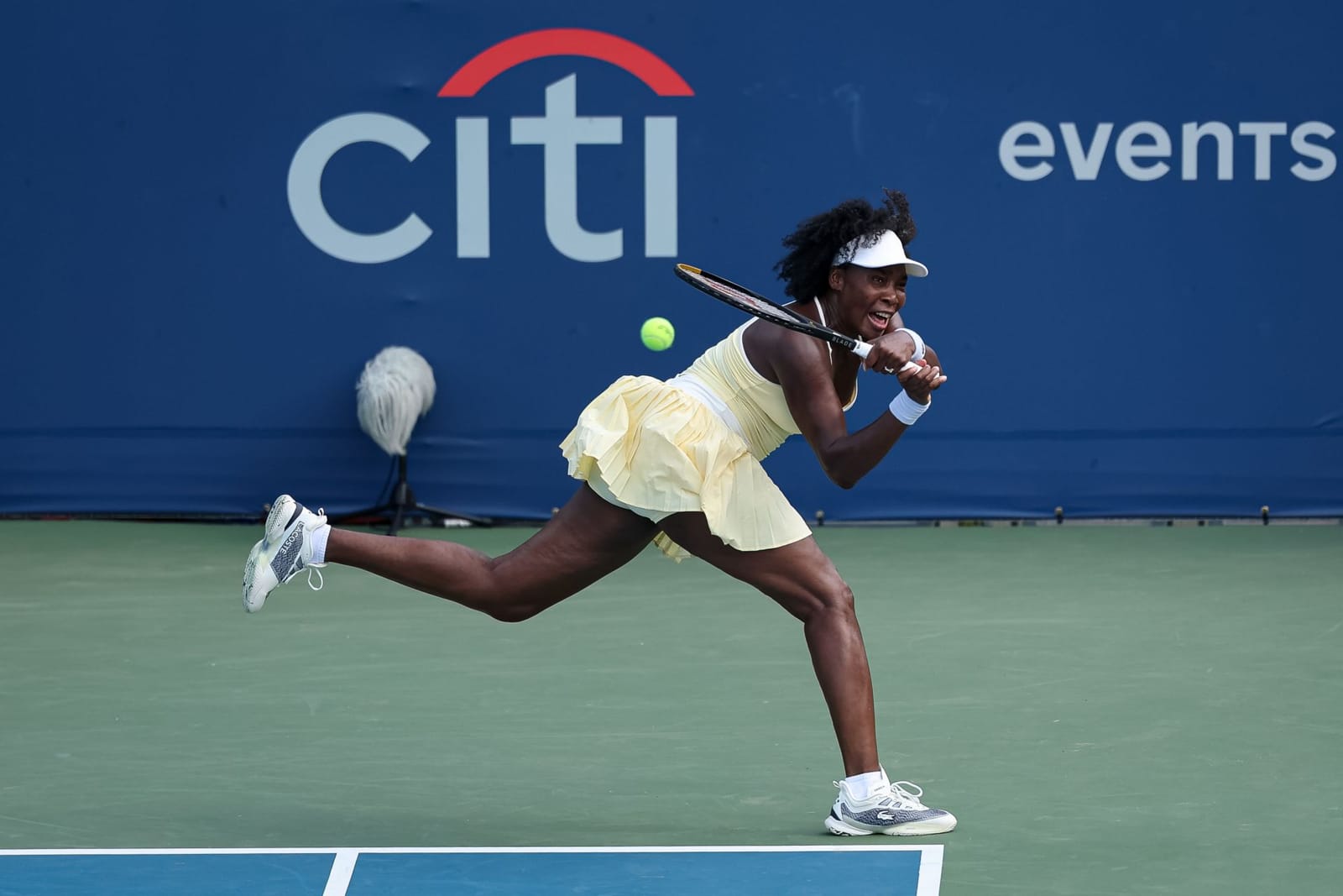 Venus Williams receives surprise support from $300M-worth NBA star ...