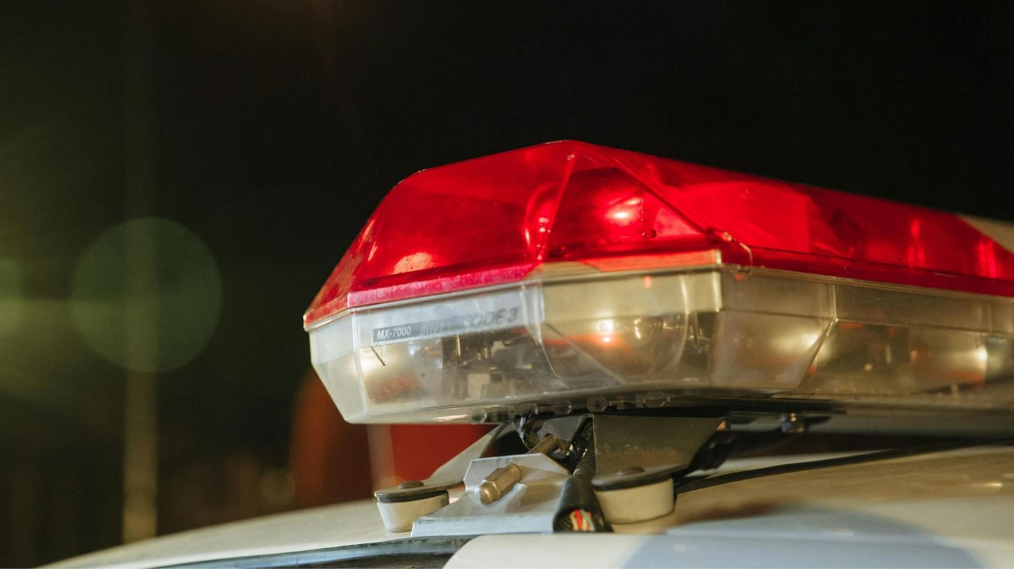 Anna Lisa Raymundo's murder case - A detailed case overview