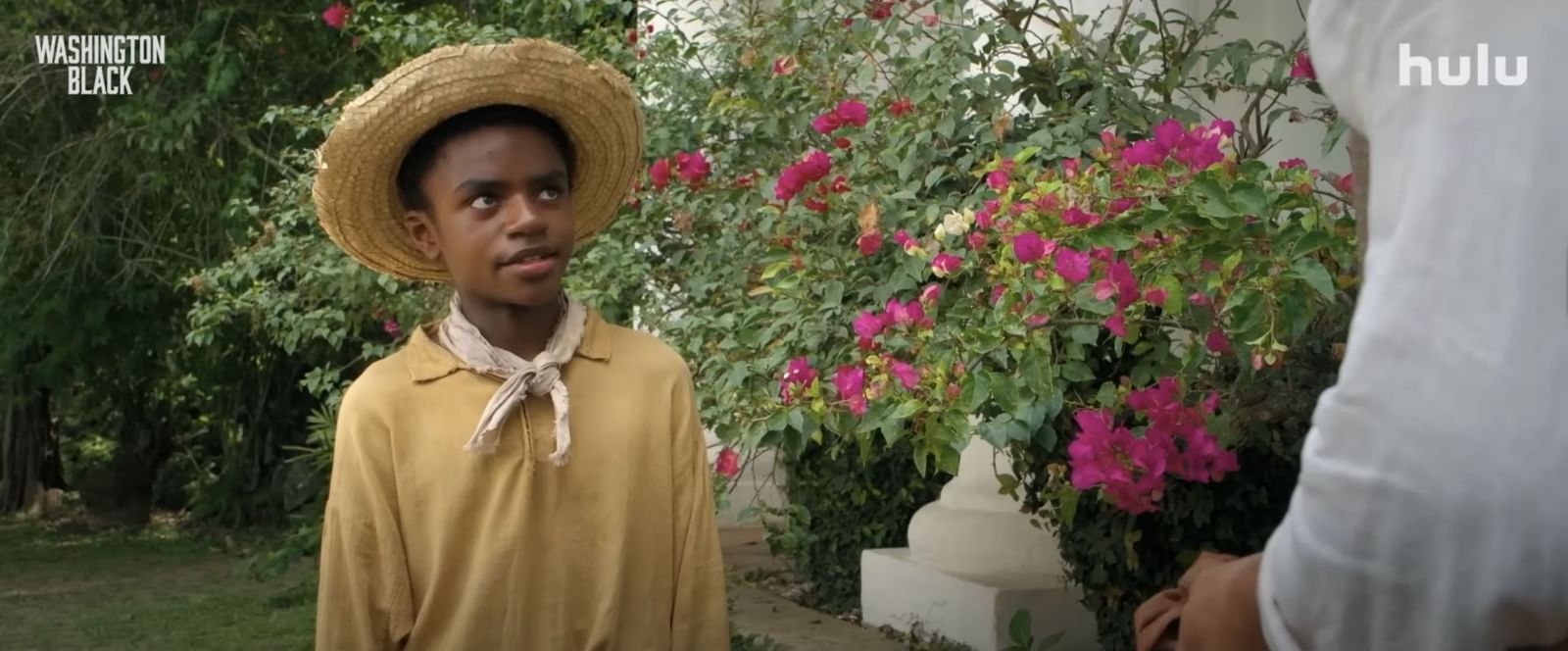 Washington Black season 1 cast and characters: Meet the stars behind ...