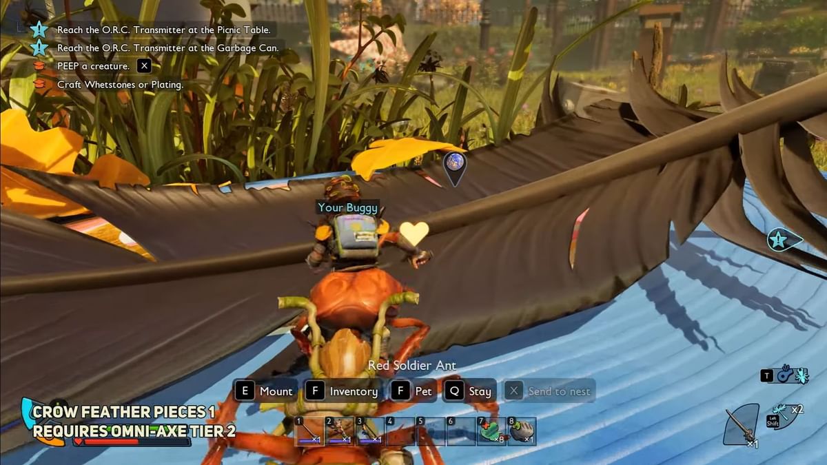 Where to get Crow Feather Pieces in Grounded 2