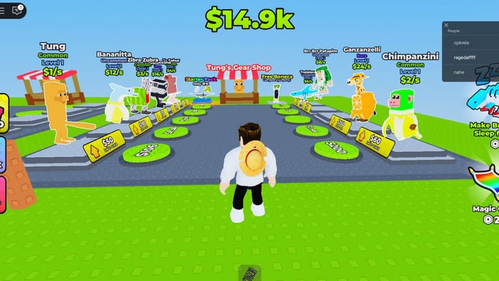 Don't Wake the Brainrots!: A beginner's guide