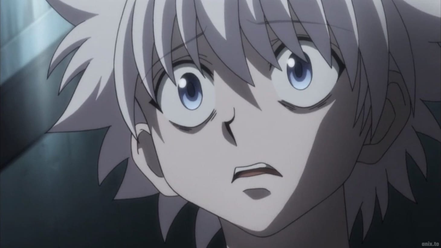 The Zoldyck family in Hunter x Hunter created master assassins through ...