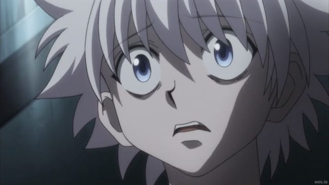 The Zoldyck family in Hunter x Hunter created master assassins through ...