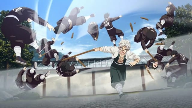 Every Demon Slayer Hashira training before the Infinity Castle, in ...