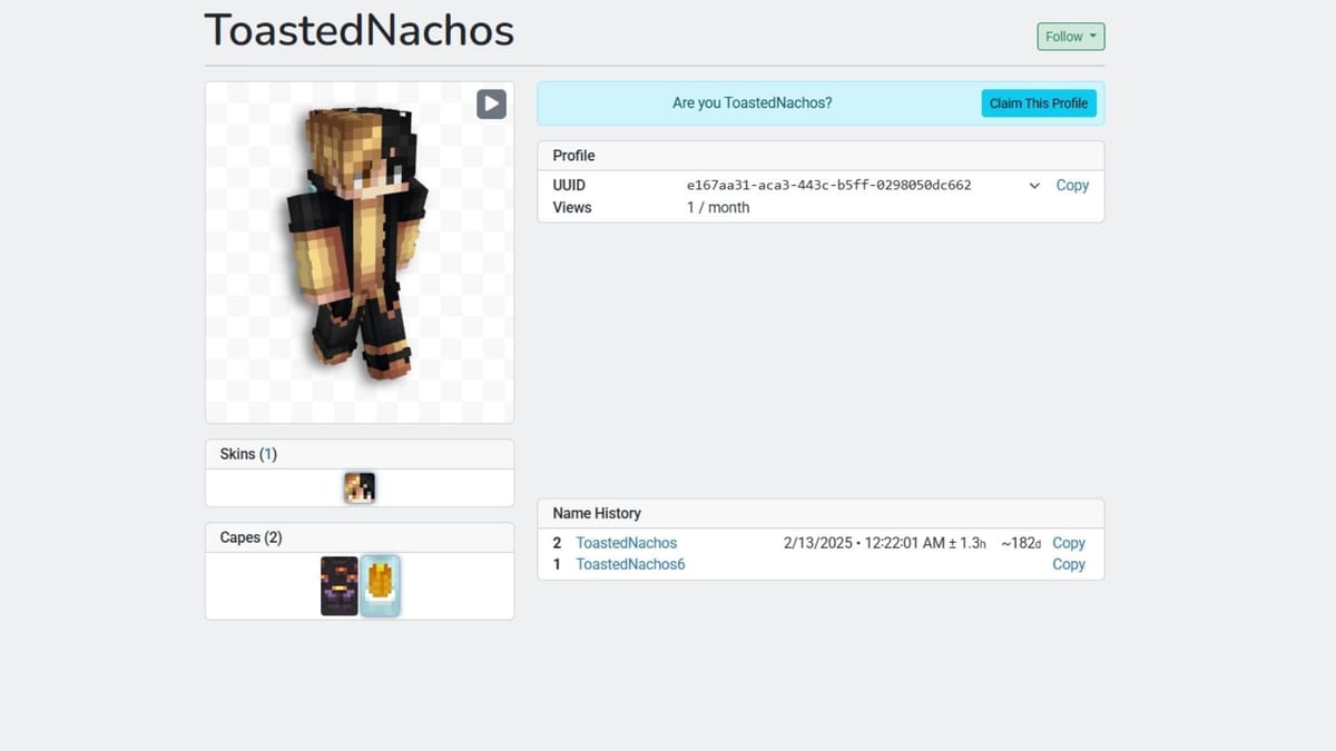 How to look up Minecraft usernames