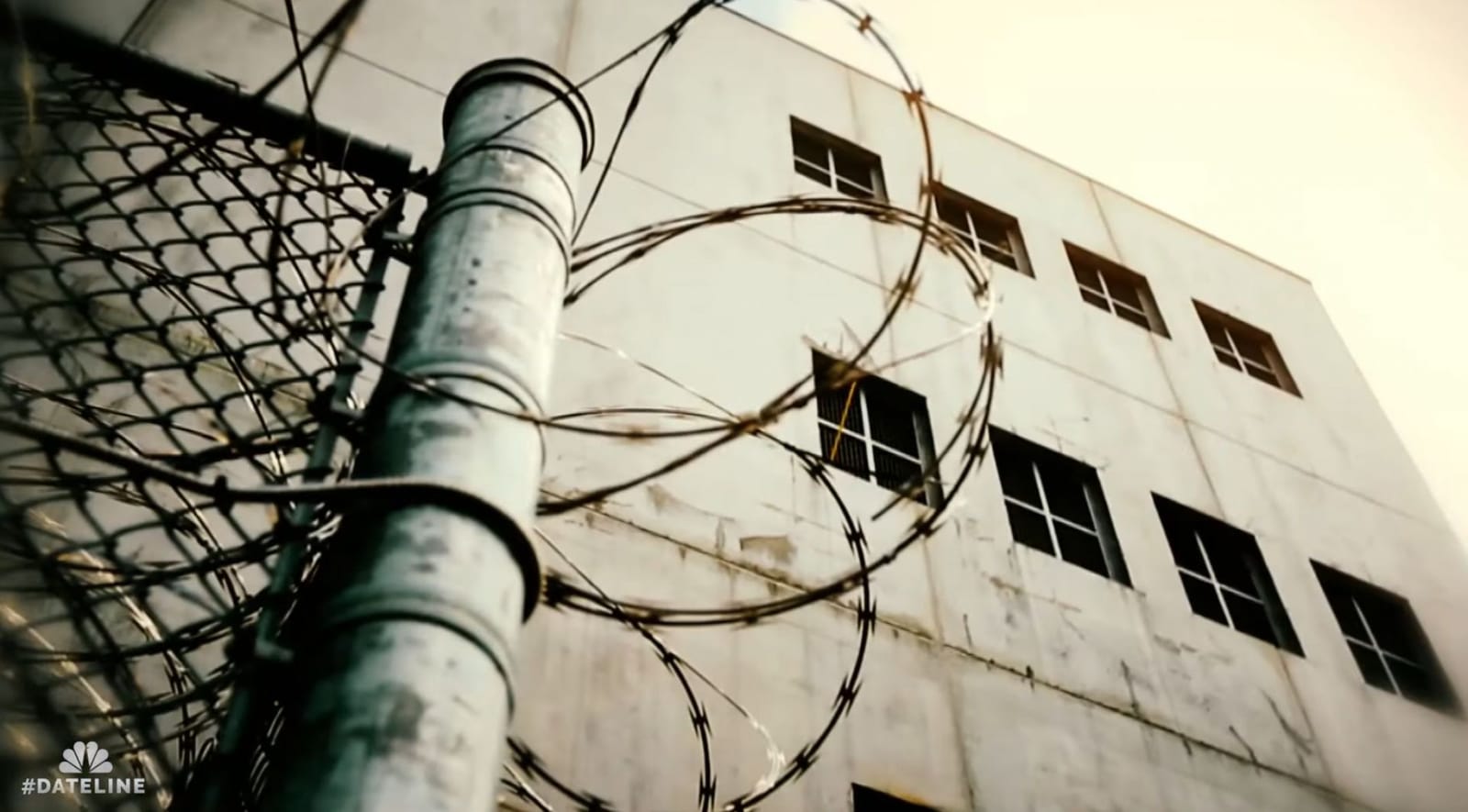 5 key details you need to know about Susie Casey's brutal murder