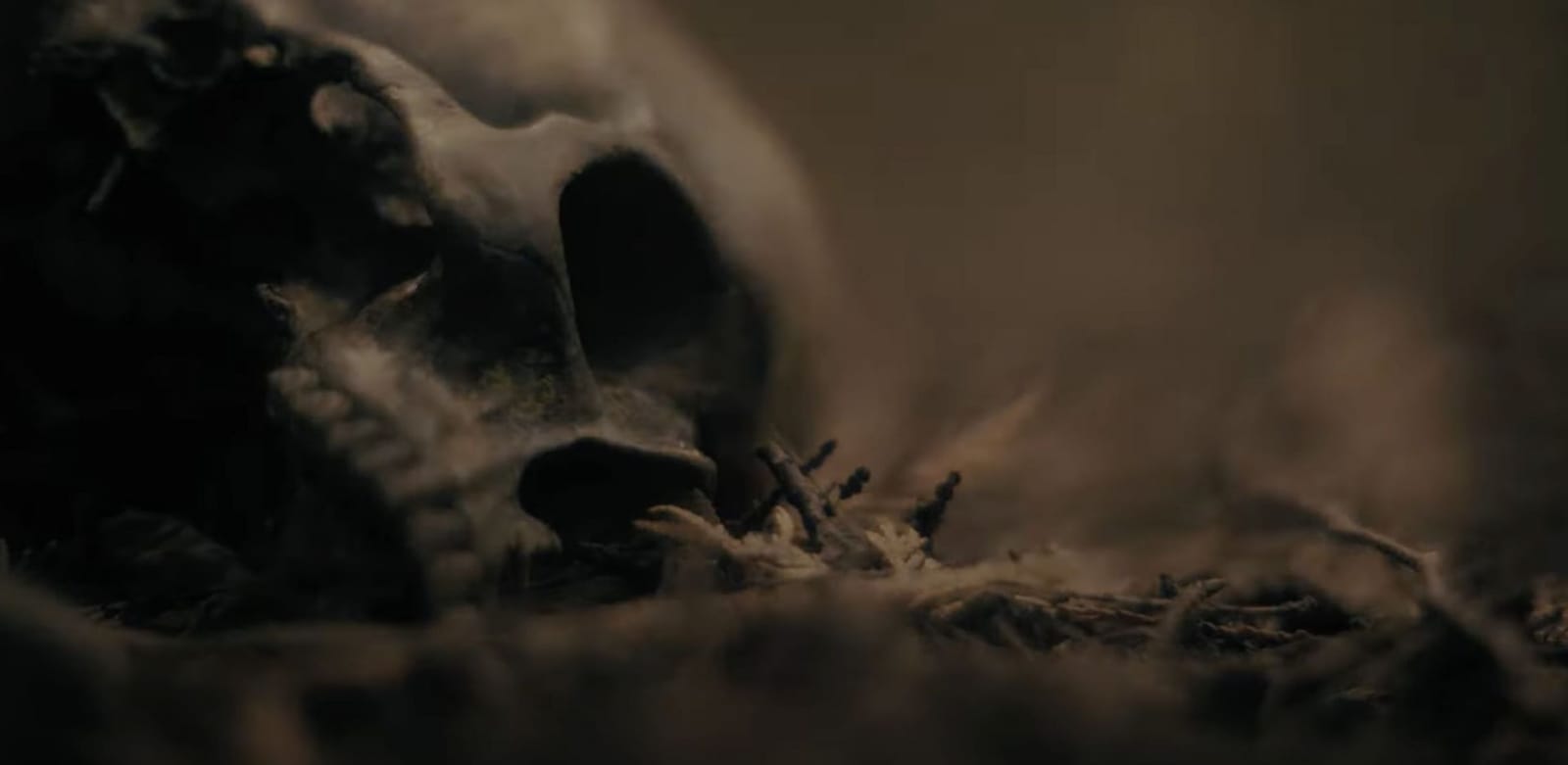 Where was Ted Bundy executed? Details of the American serial killer ...