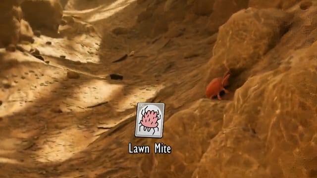 How to get Mite Fuzz in Grounded 2