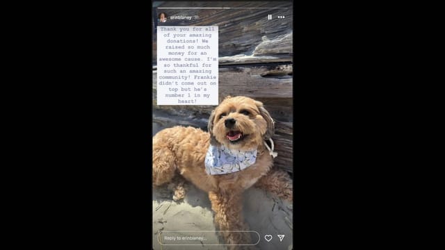 Ryan Blaney's sister steals the spotlight with her 'passenger prince' pup