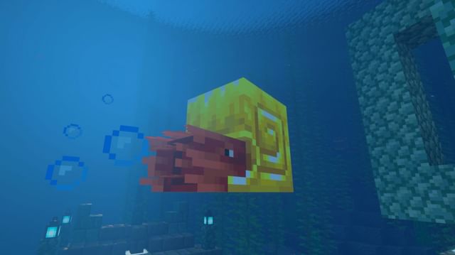 Minecraft reveals new aquatic mob, Nautilus