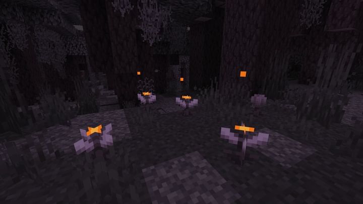 How long are 1000 Minecraft days in real life?