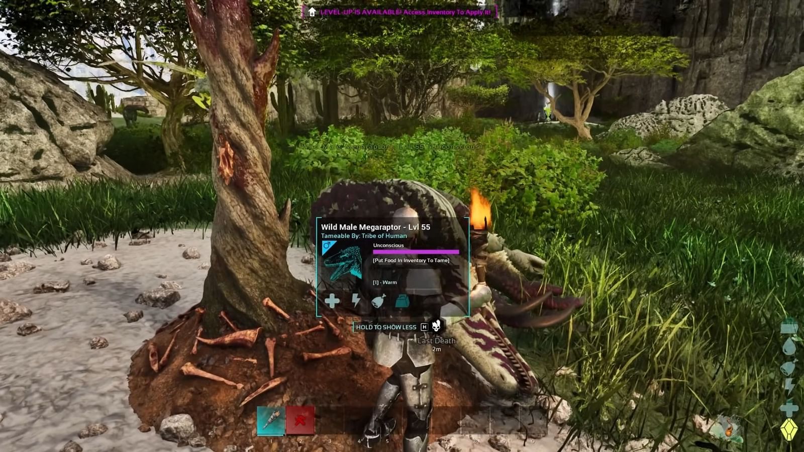 How to tame a Megaraptor in ARK Survival Ascended