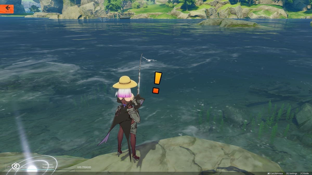 Blue Protocol Star Resonance: Complete Fishing Guide