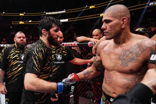 UFC 320: UFC 320: Magomed Ankalaev vs. Alex Pereira stats comparison ...