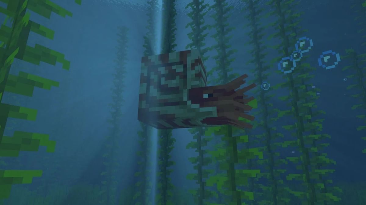 What is the Breath of the Nautilus effect in Minecraft?