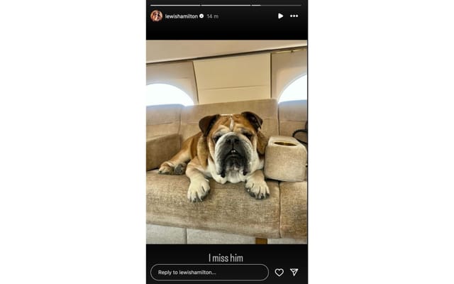 Lewis Hamilton shares a heartbreaking 3-word story about dog Roscoe on ...