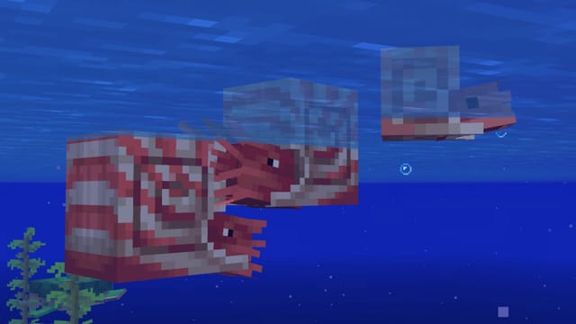 After Nautilus, all Minecraft needs is a new ocean biome